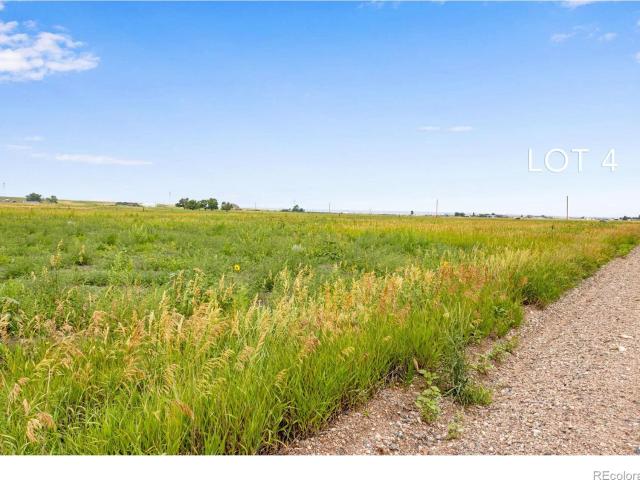 4 TBD County Road 21