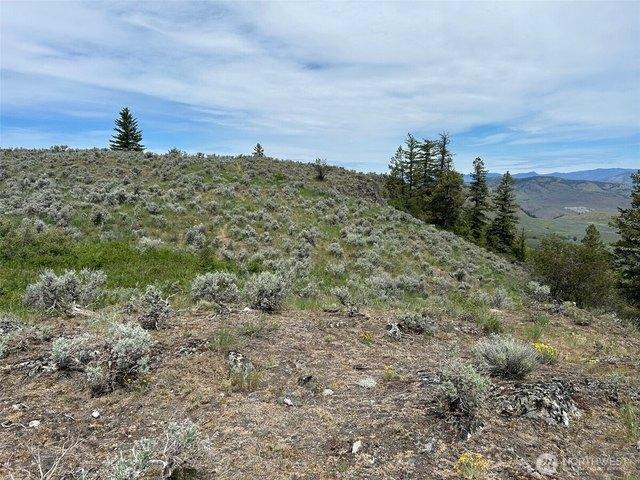 4 Tbd Ellemeham Mountain Rd, Oroville, WA 98844