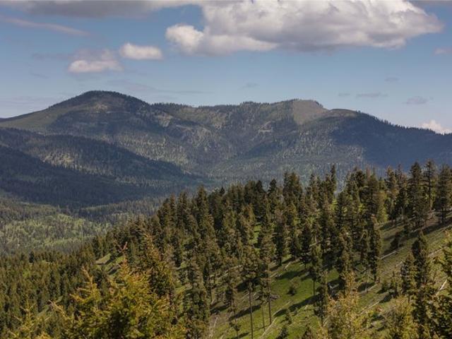 4 Tract, Drummond, MT 59825