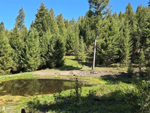 4 Tract, Drummond, MT 59832