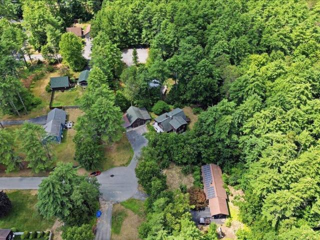 4 Treehouse Lane