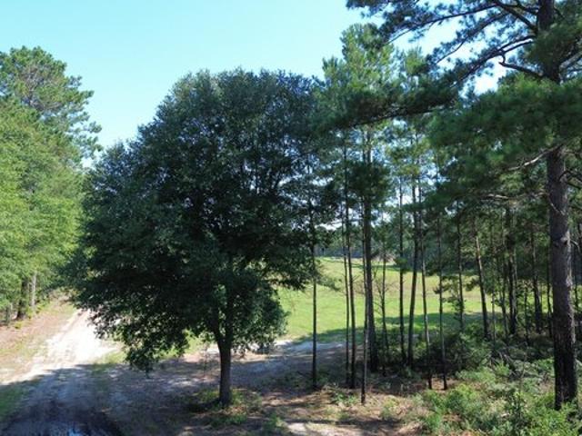 4 Trojan Rd, Cross, SC 29436