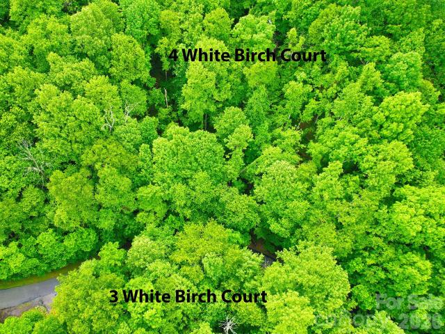 4 White Birch Court # 422