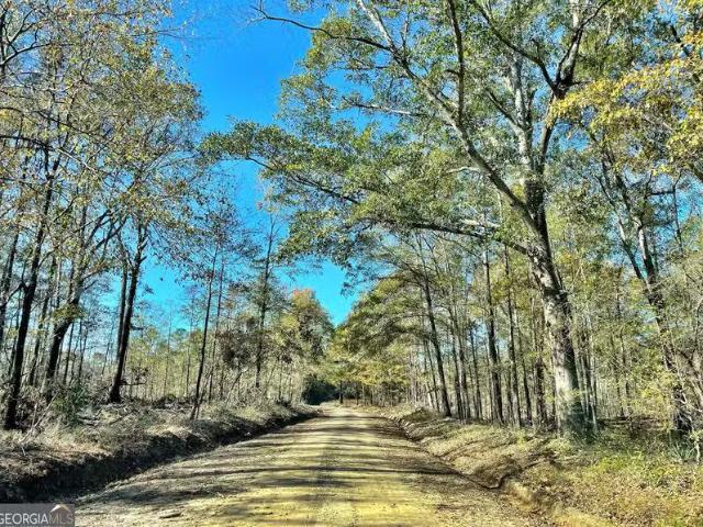 4 Woodland Rd, Jeffersonville, GA 31044 MLS 10349702
