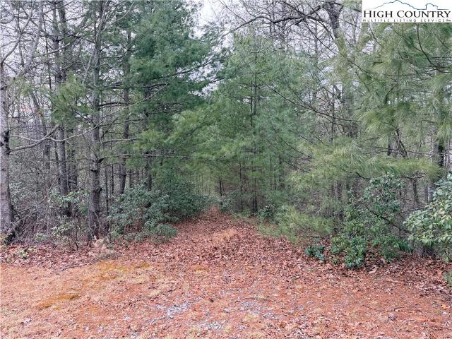 4 Wolf Den Ln, Lenoir, NC 28645 | MLS #260116 | Compass