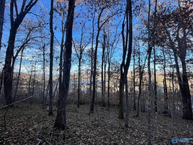 4.08 acres Mitchell Hollow Road