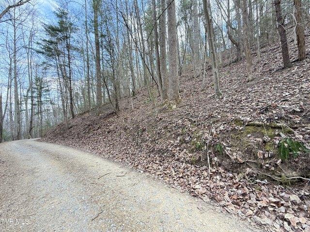4.01 Reece Hollow Rd, Del Rio, TN 37727