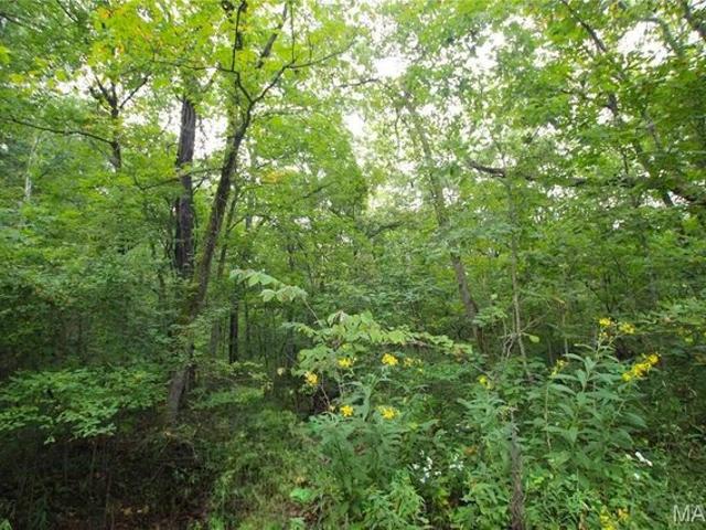 4.14 Acres Pendleton Lost Creek Rd, Warrenton, MO 63383