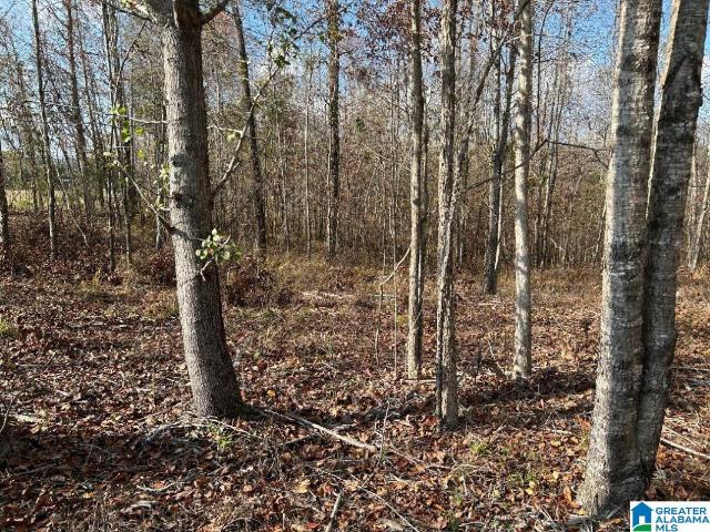 4.15 acres n hagler road # 3