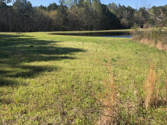 4.17 Acres Starr Hinson Road