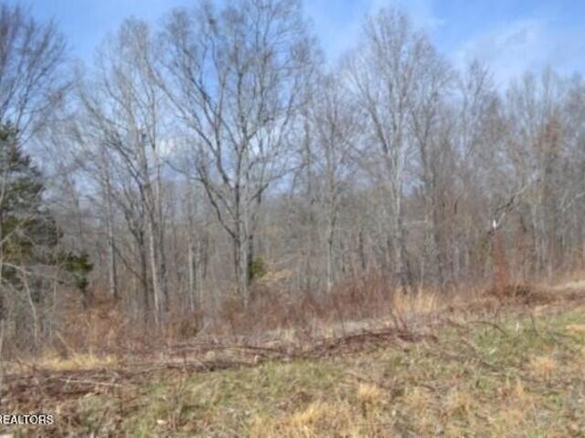 4 13AC Hush Hollow Ln, Baxter, TN 38544