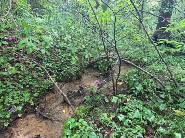 4.1 Ac Charlotte Mountain Rd, Ellijay, GA 30540