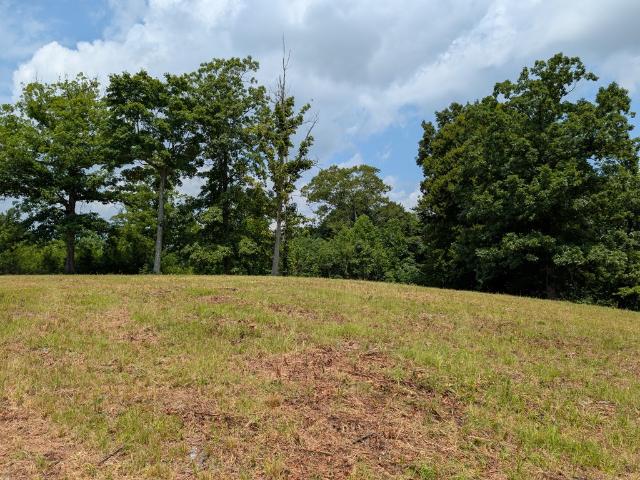 4.25ac Davidson Rd