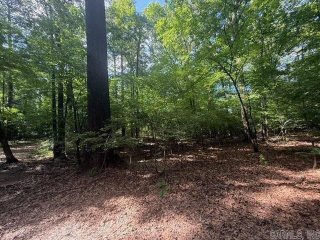 4.26 Acres Oklahoma Inn Rd, Benton, AR 72015