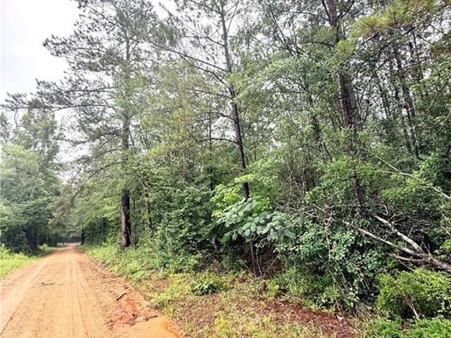 4.297 acres Pleasant Hill Road