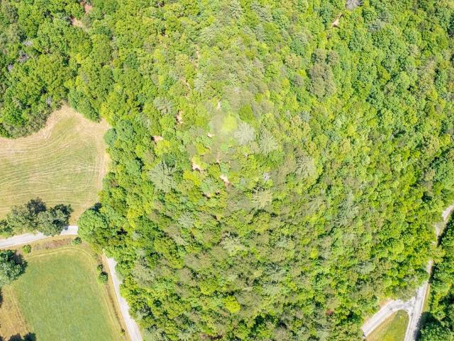 4.2 acre Donley Road