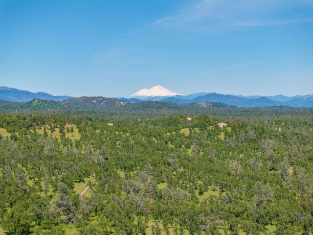 4.36 Acres Canto De Las Lupine