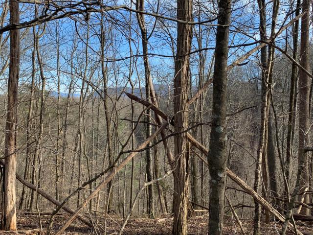 4.38 ac N Shiloh Rd
