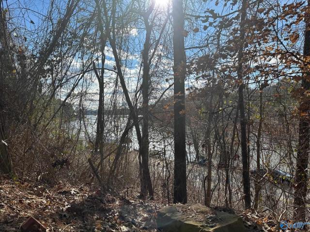 4.45 Acres Riddles Bend Road