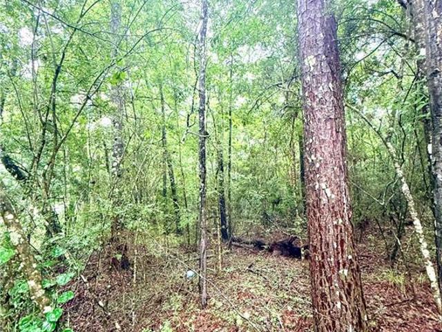 4.464 Acres Pleasant Hill Road