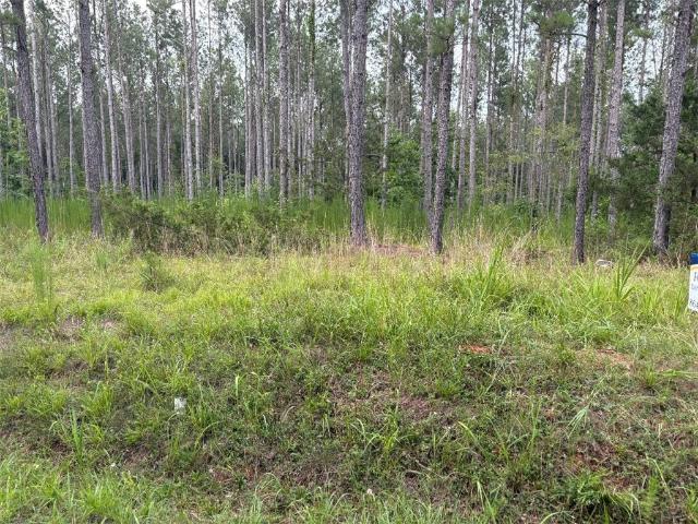 4.42 acres mike mcconnell avenue