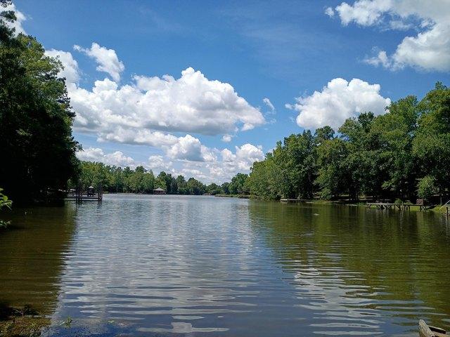 4.4 Acres County Road 219, Decatur, TN 37322