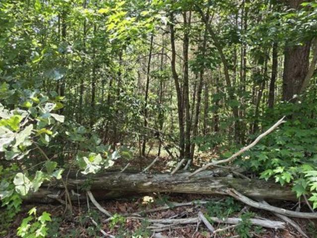 4 55AC County Road 730, Henagar, AL 35978