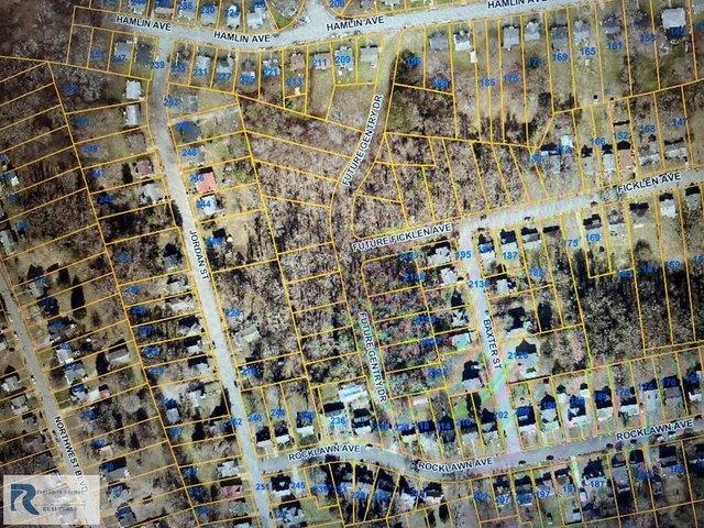 4.51 Ac Ficklen Ave, Danville, VA 24540