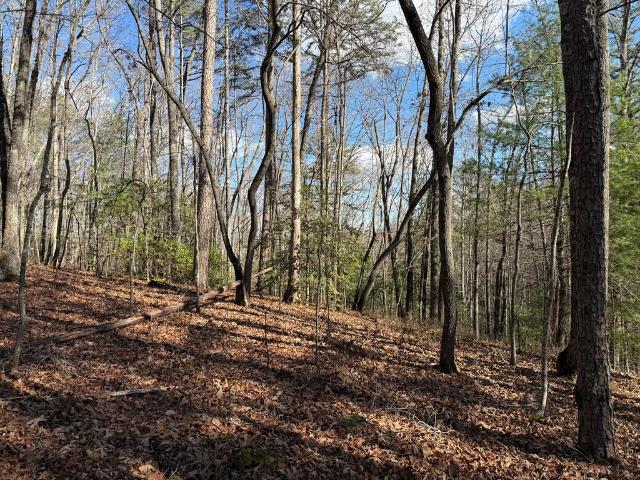 4, 5 &6 Mountain Wood Drive