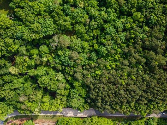 4.5 Ac Hickory Flat Hwy, Woodstock, GA 30188