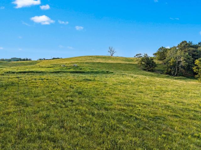 4.5 Acres Perrin Hill Road