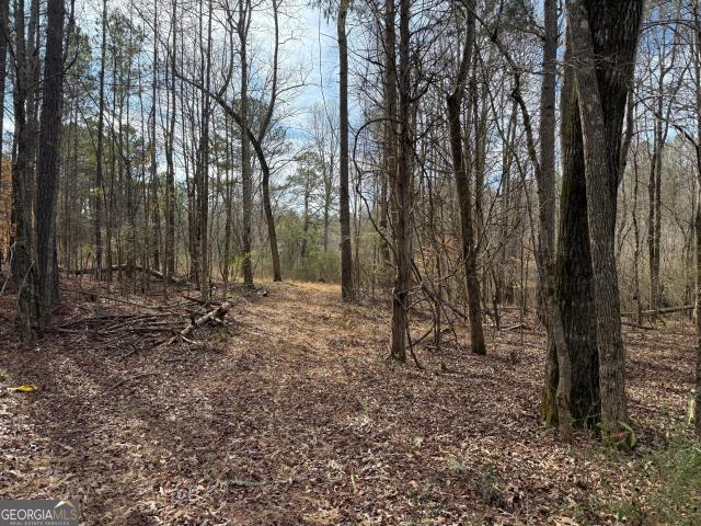 4.5 ACRES Whatley Road N