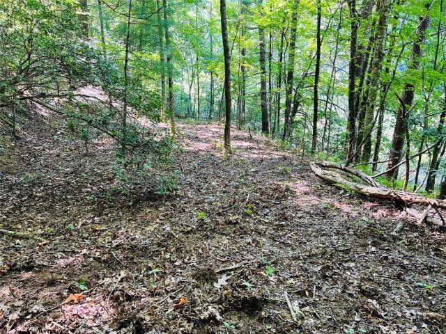 4 5 Maxwell Mountain Rd, Blue Ridge, GA 30513 | MLS #7646