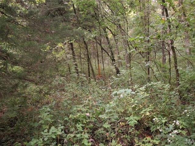 4.65 Acres Pendleton Lost Creek Rd, Warrenton, MO 63383