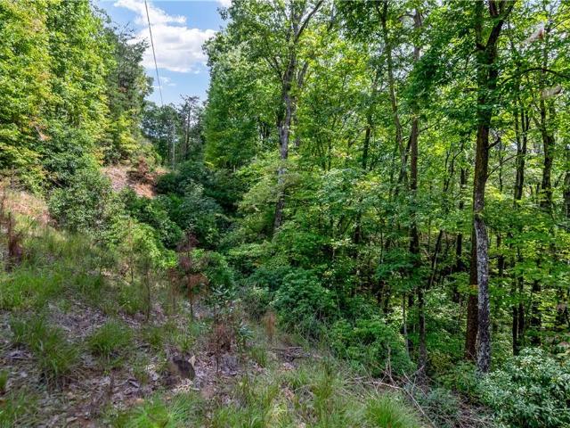 4.69 Rockwater Rd, Ellijay, GA 30536 | MLS #7646