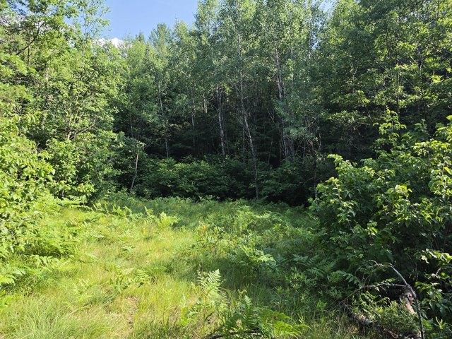 4.62 Acres Oak Ridge Rd, Amberg, WI 54102