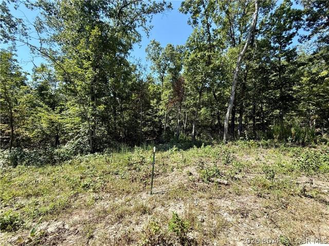 4.6 Acres Possum Trot Rd