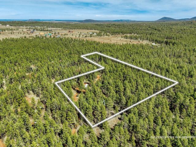 4.74 acres Birdsong Way, Pinetop, AZ 85935 | MLS #259770 | Compass