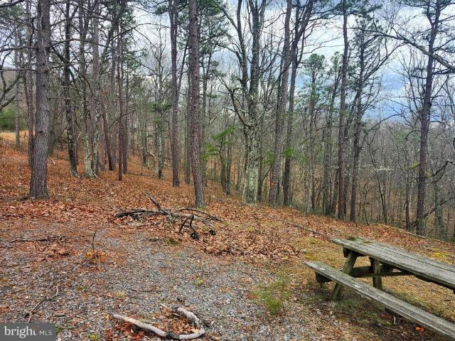 4.73 AC Brown Cardinal Ridge
