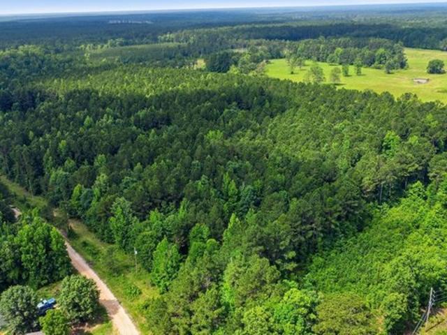 4.7 Acres Grant # 18, Grapevine, AR 72057