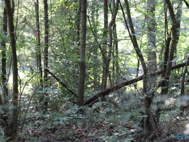 4.7 acres Finlen Road