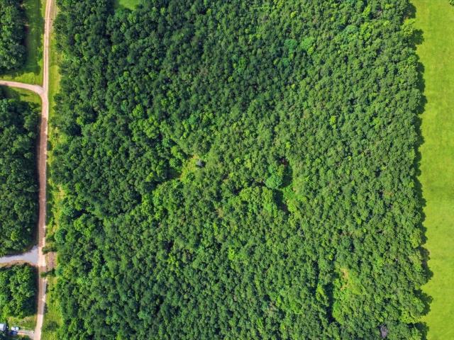 4.7 Acres Tract 1 Grant 18