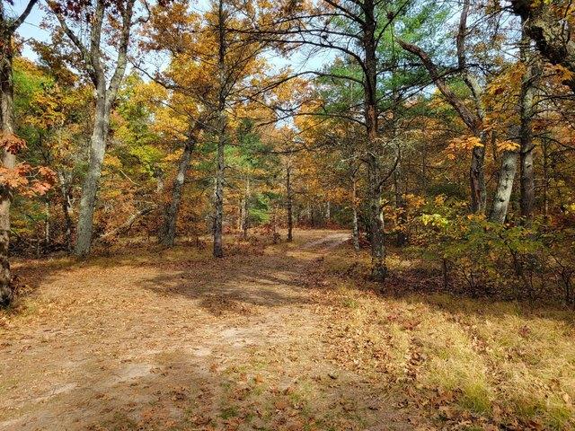 4.84 Ac 160th Ave, Hesperia, MI 49421
