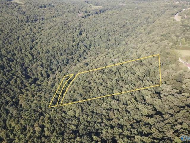 4.88 Acres Butler Mill Rd, Grant, AL 35747