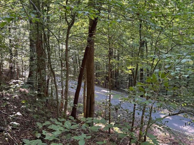 4.88 Acres Butler Mill Road
