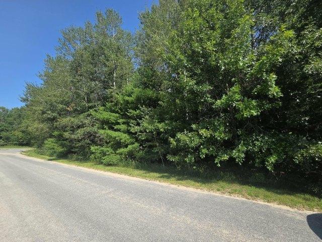 4.94 Ac Elise Ln, Houghton Lake, MI 48629