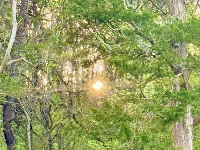 4.94 Acres Lyons Rd, Decatur, AL 35603