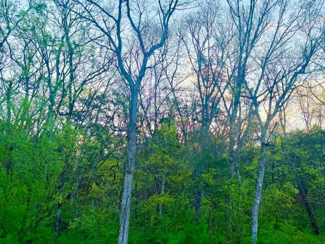 4.94 Acres Lyons Road