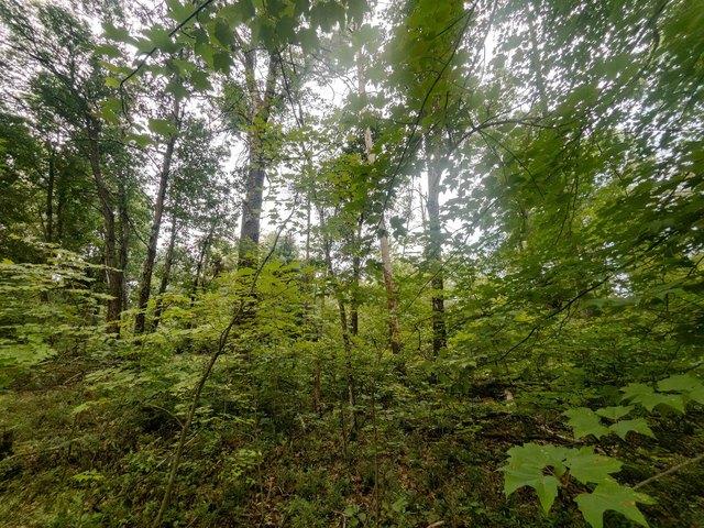 4 96AC 12th St E, Necedah, WI 54646