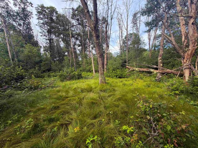 4.96ac 12th Street E